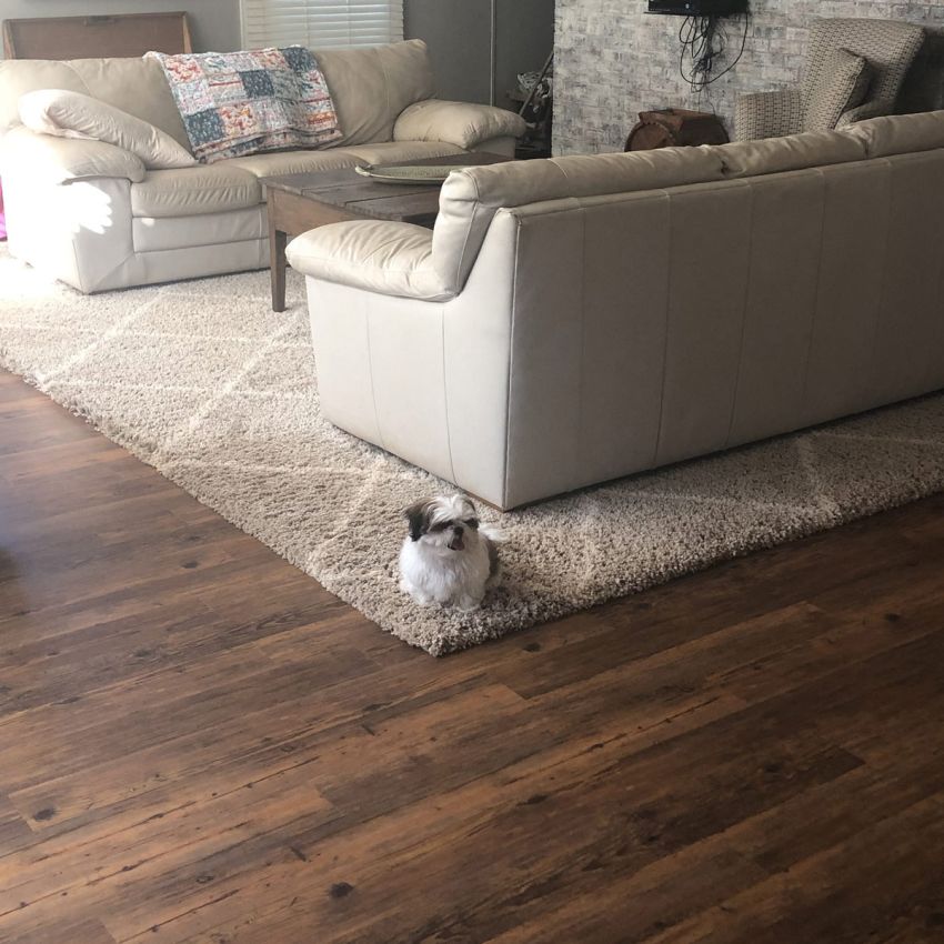 COREtec Plus 5" Plank Carolina Pine 50LVP501 WPC Vinyl Flooring