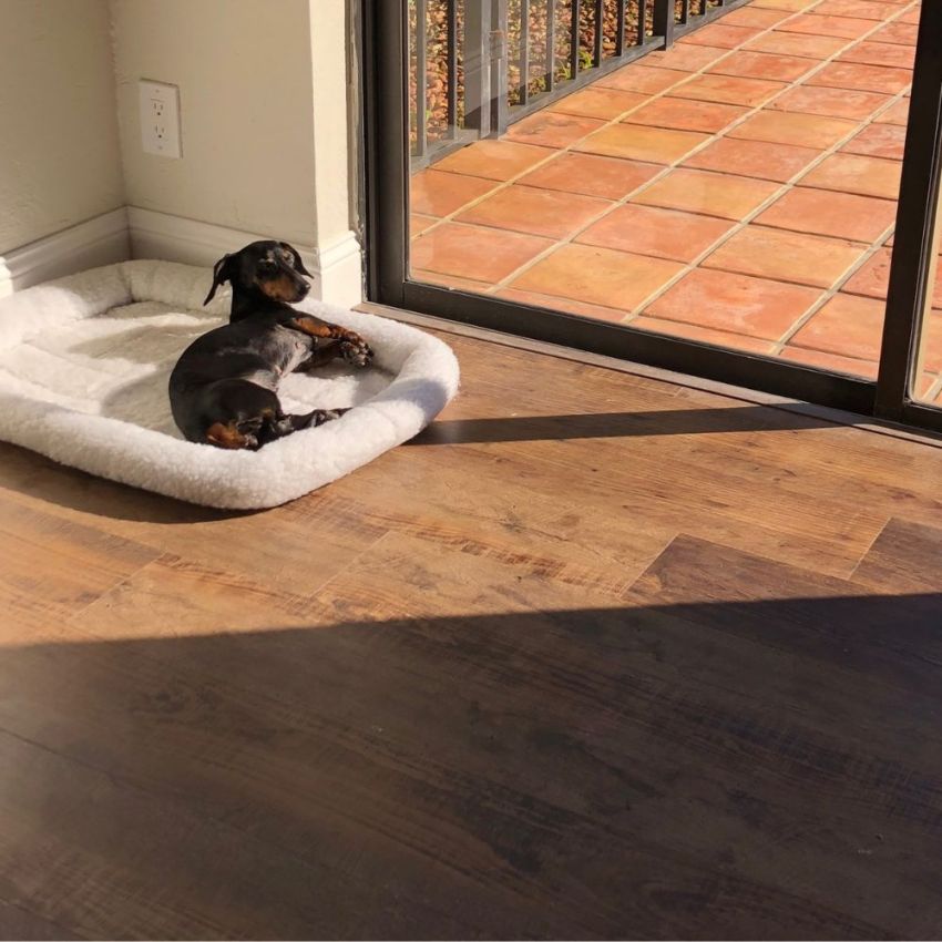 COREtec PRO Plus Duxbury Oak VV017-01012 SPC Vinyl Flooring